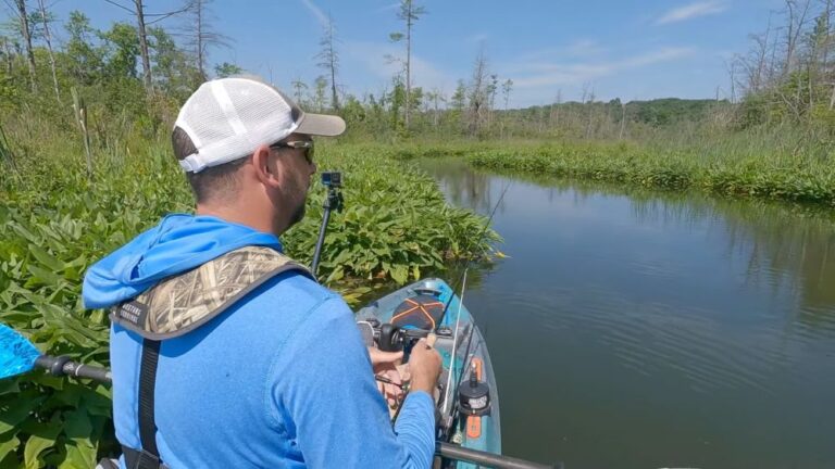 What Kind of Fish Are in Lake Orion? - A Michigan Treasure for Fishing ...
