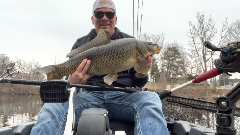 What Kind of Fish Are in Lake Orion? - A Michigan Treasure for Fishing ...
